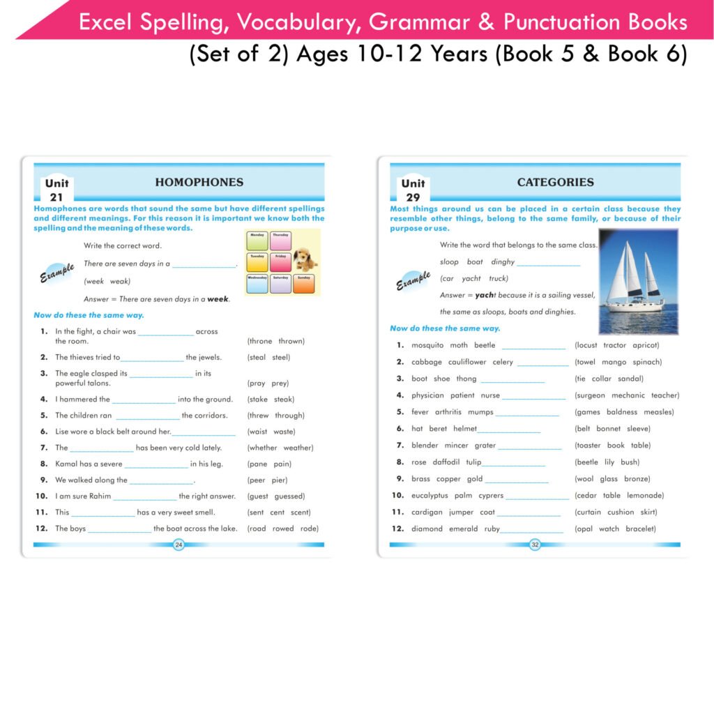 Excel Basic Skills Spelling, Vocabulary, Grammar and Punctuation Book ...